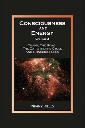 Products - Penny Kelly - Consciousness On Fire